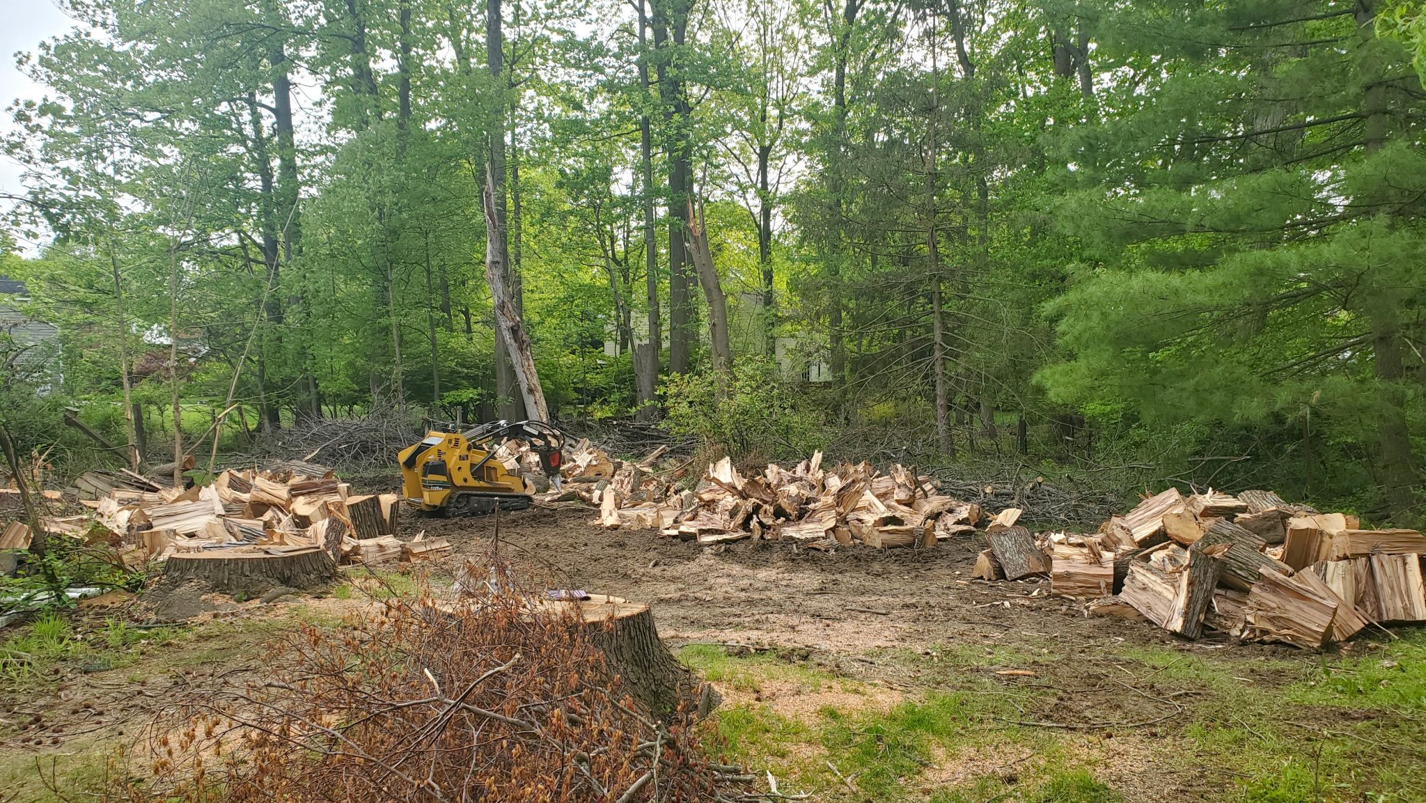 Log Splitting - Concrete Pulverizers, Stump Splitter, Excavator ...